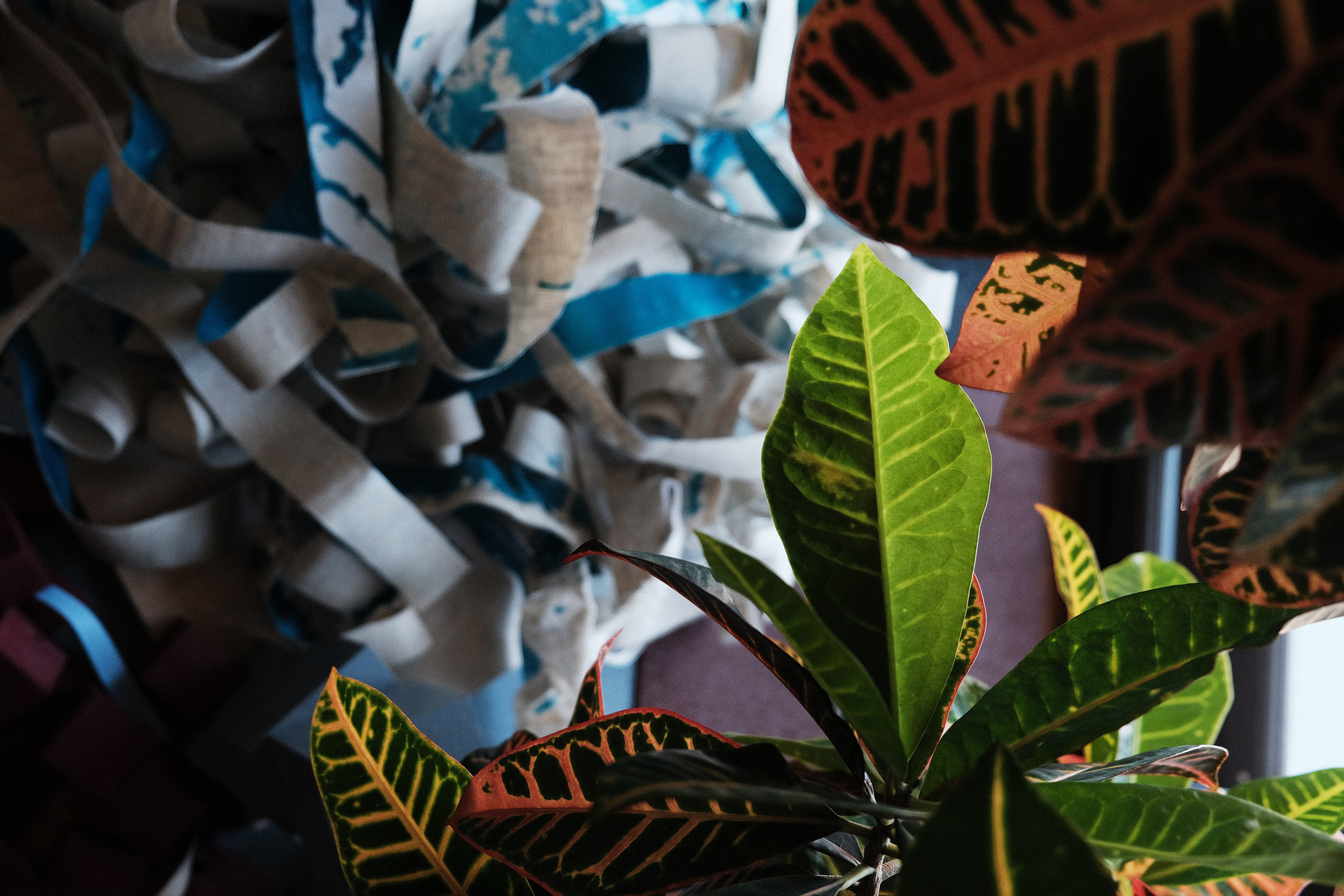 Eva Vēvere / poetic robotism projects